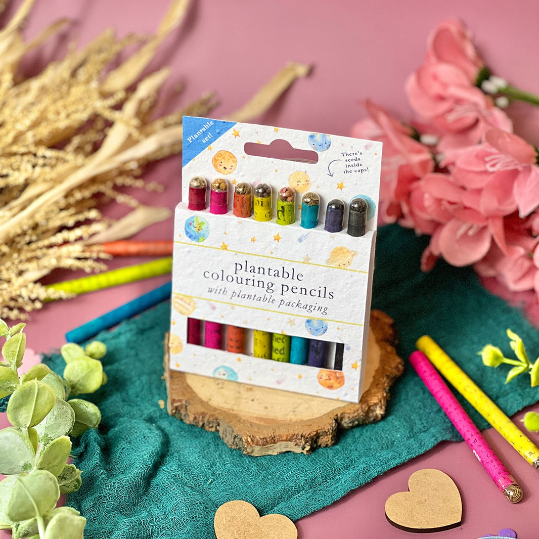 Plantable Colouring Pencils – Little Green Gifts